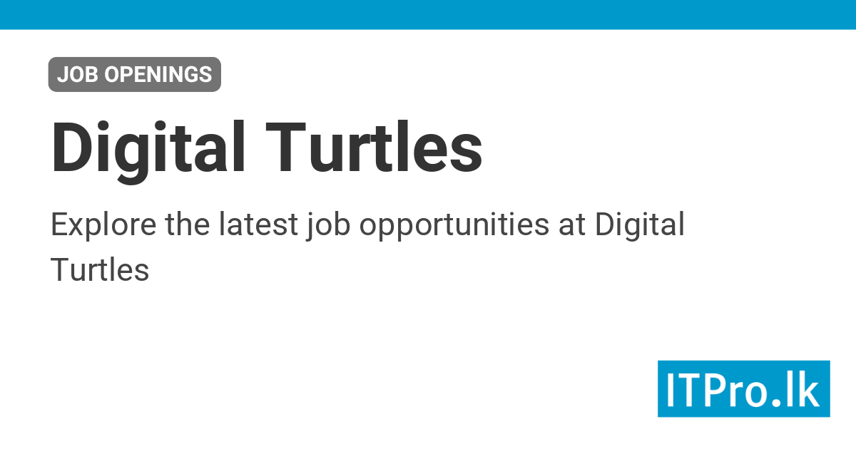 Explore Jobs at Digital Turtles | ITPro.lk